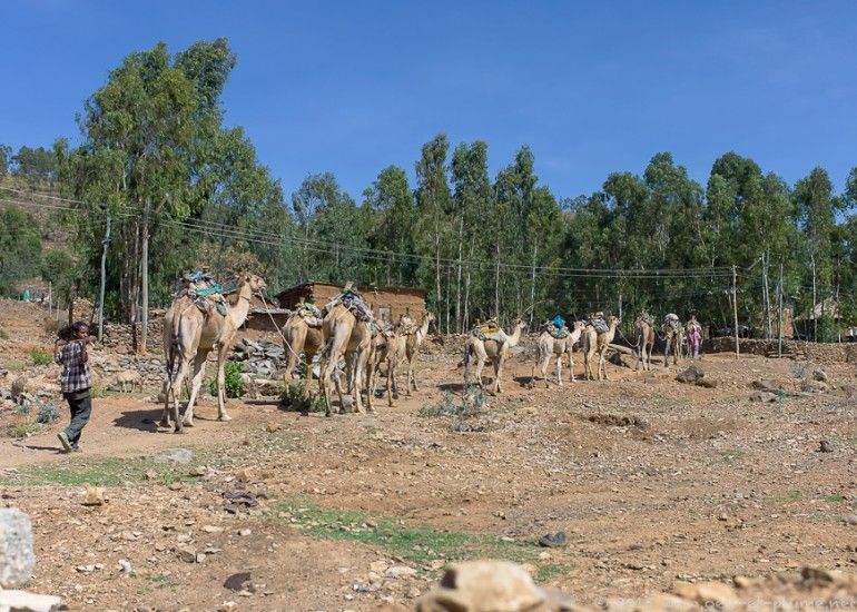 Ethiopia - Aksum - Coups d'oeil et Coups de plume