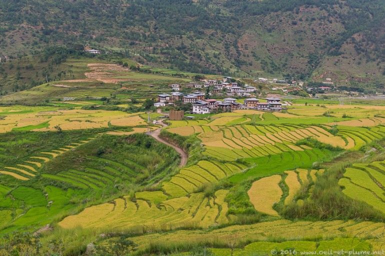 Bhutan - Growing happiness - Coups d'oeil et coups de plume