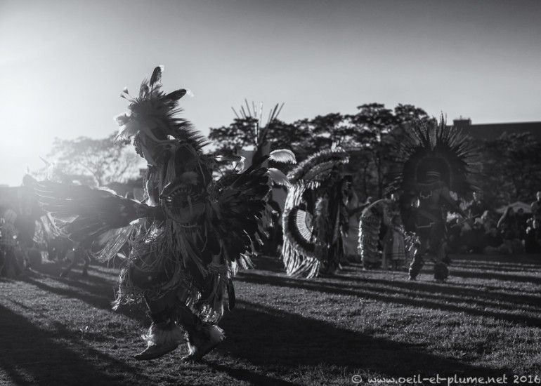 USA - Pow wow - Coups d'oeil et coups de plume