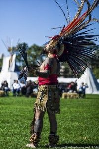 USA - Pow wow - Coups d'oeil et coups de plume