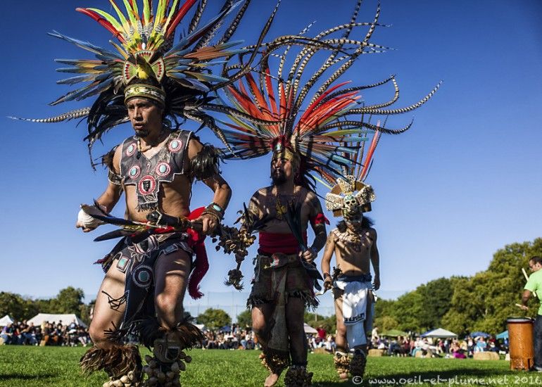 USA - Pow wow - Coups d'oeil et coups de plume