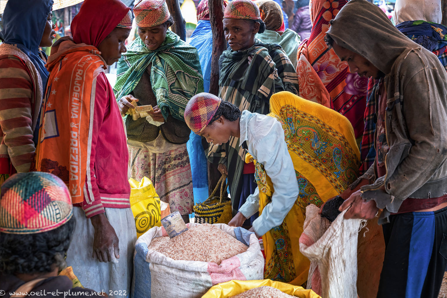 Madagascar - Zafimaniry (1) - Coups d'oeil et Coups de plume