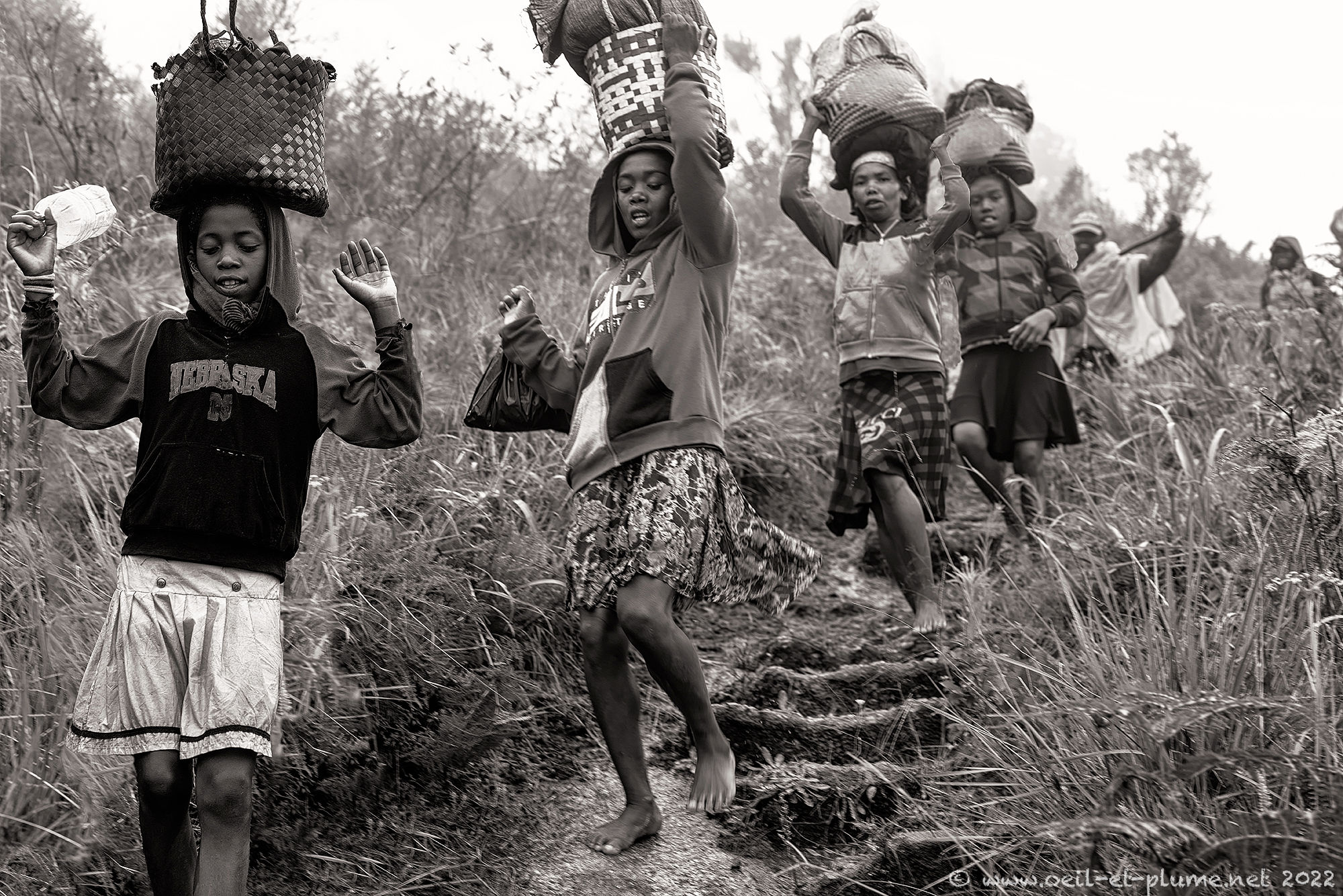 Madagascar - Zafimaniry (1) - Coups d'oeil et Coups de plume