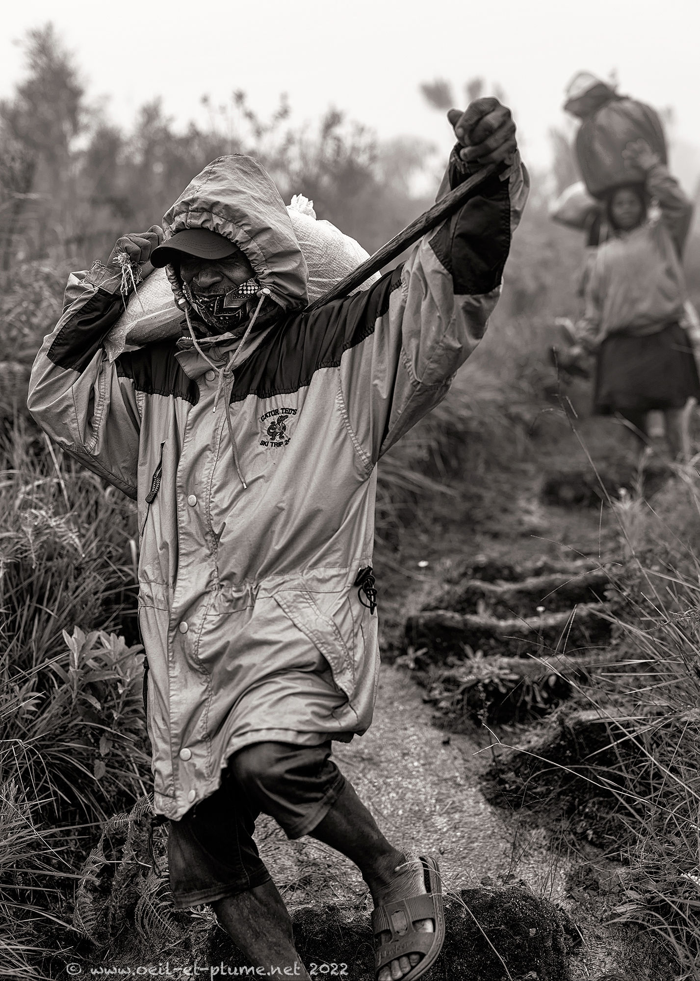 Madagascar - Zafimaniry (1) - Coups d'oeil et Coups de plume