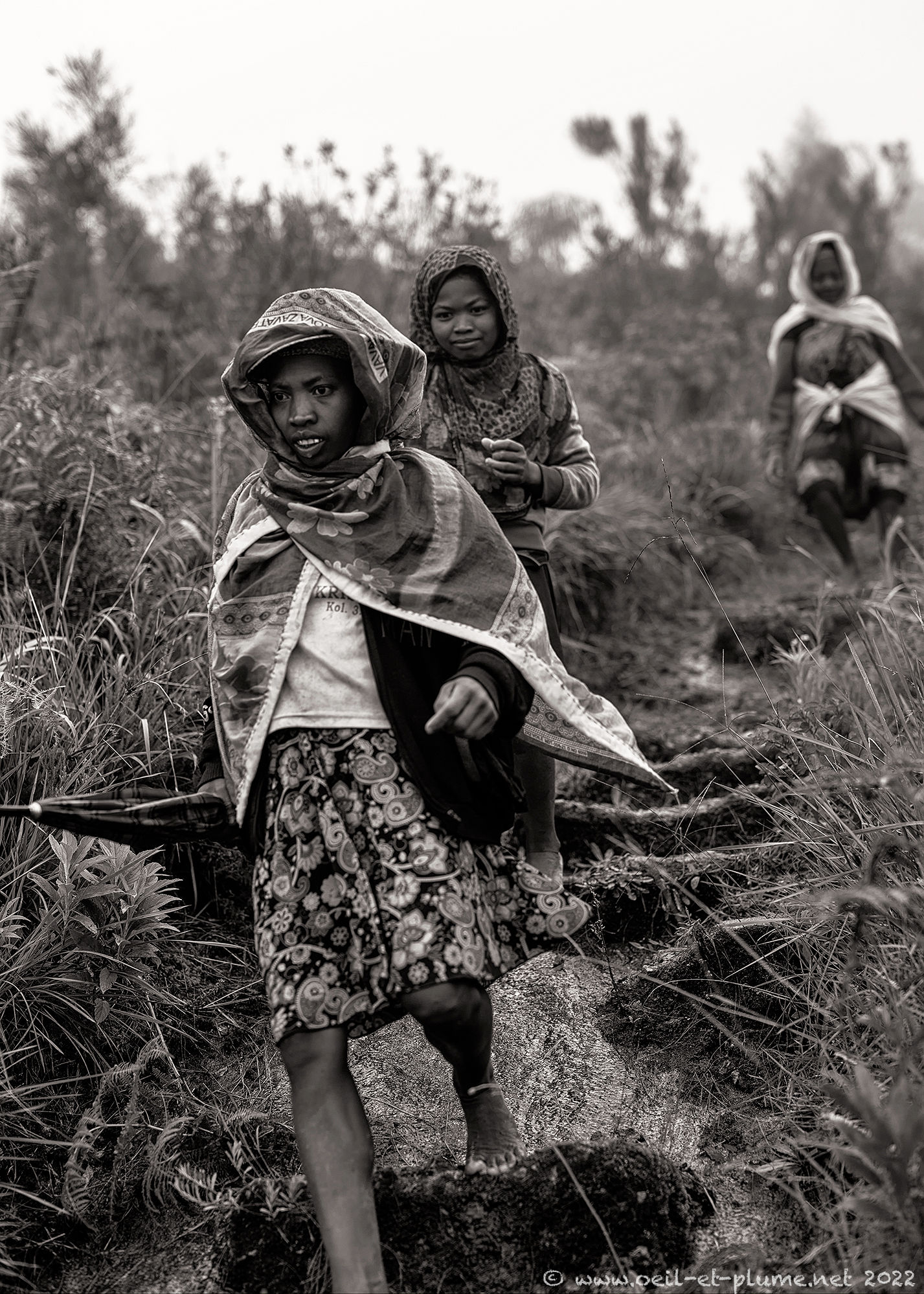 Madagascar - Zafimaniry (1) - Coups d'oeil et Coups de plume