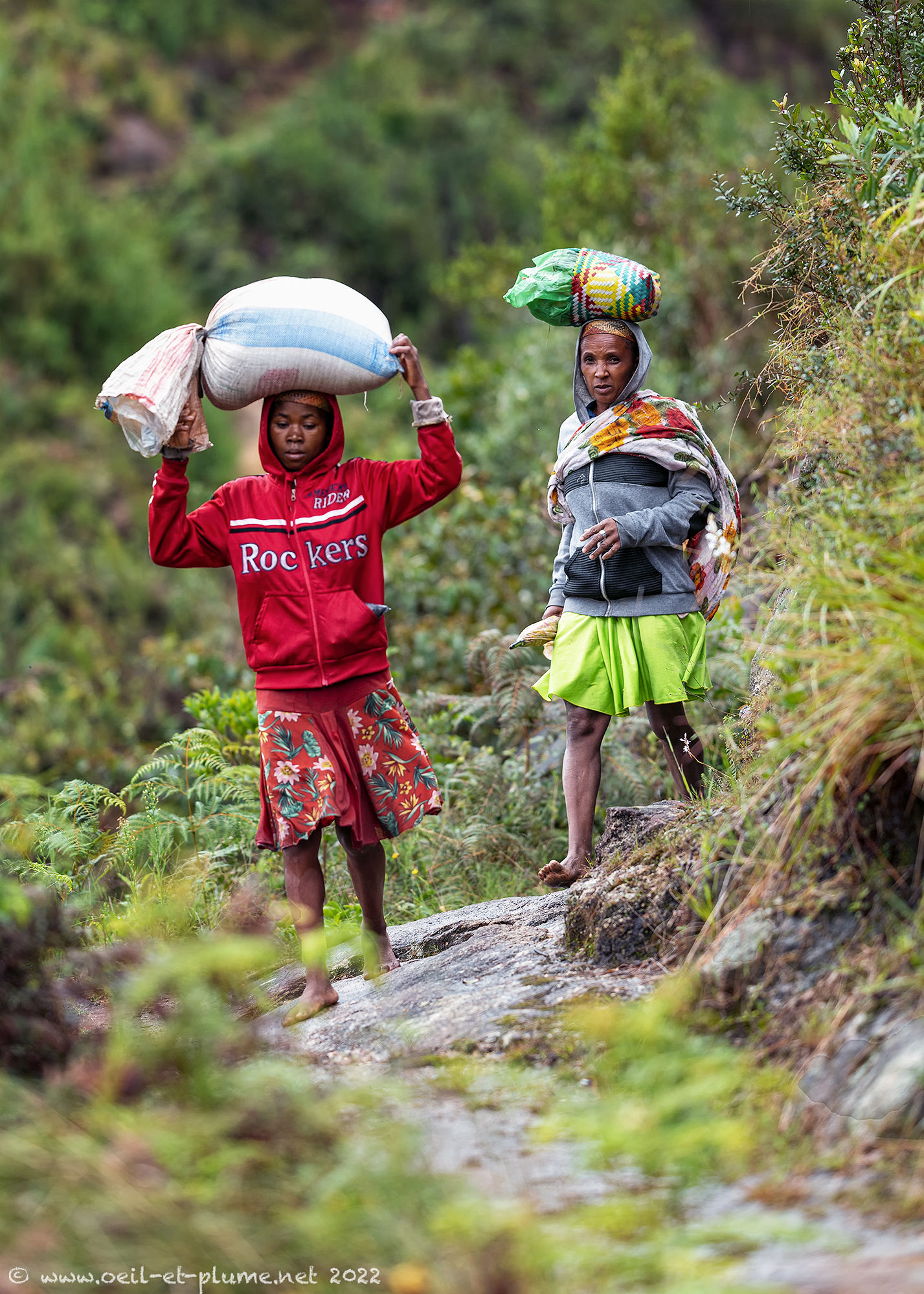 Madagascar - Zafimaniry (1) - Coups d'oeil et Coups de plume