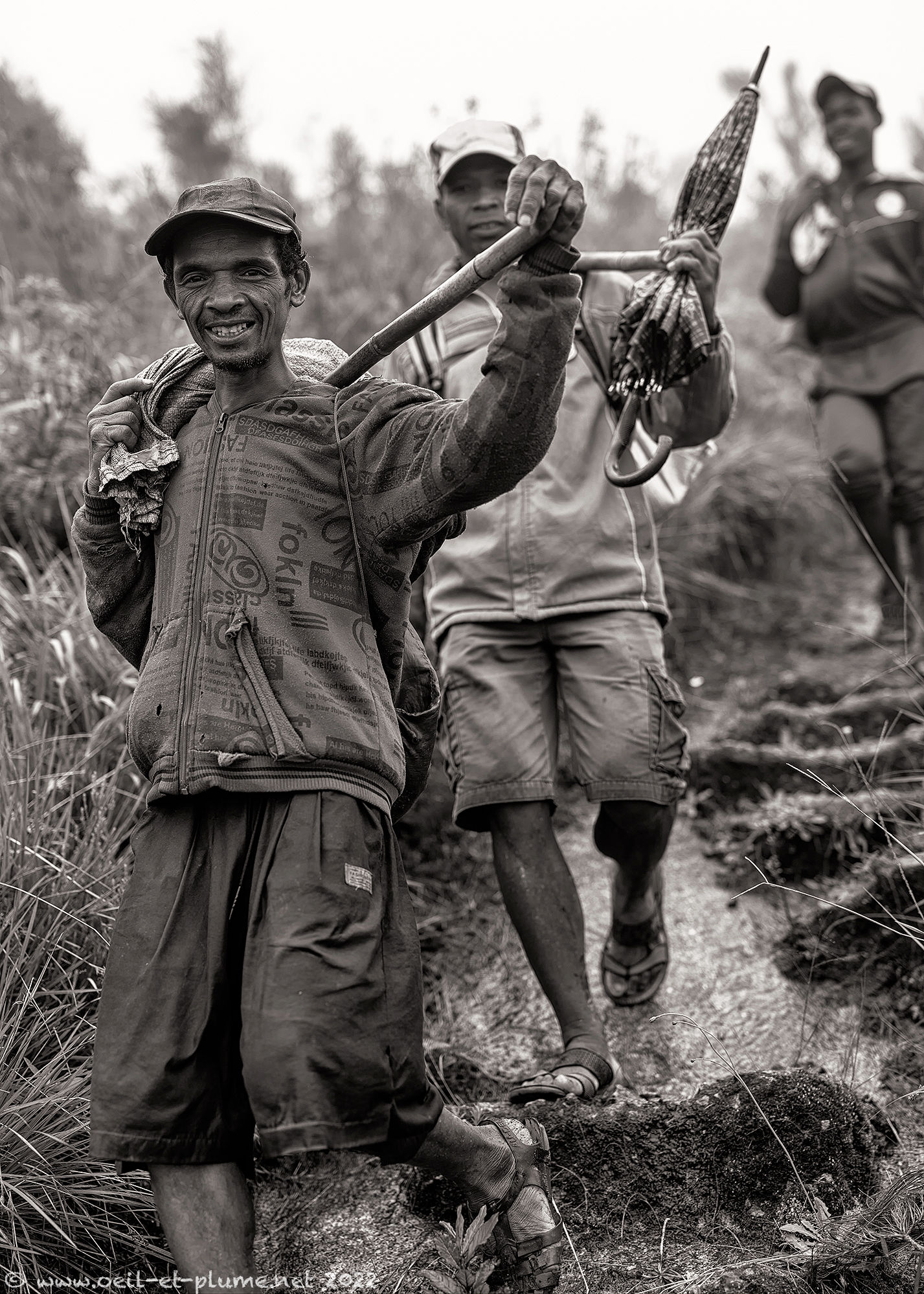 Madagascar - Zafimaniry (1) - Coups d'oeil et Coups de plume