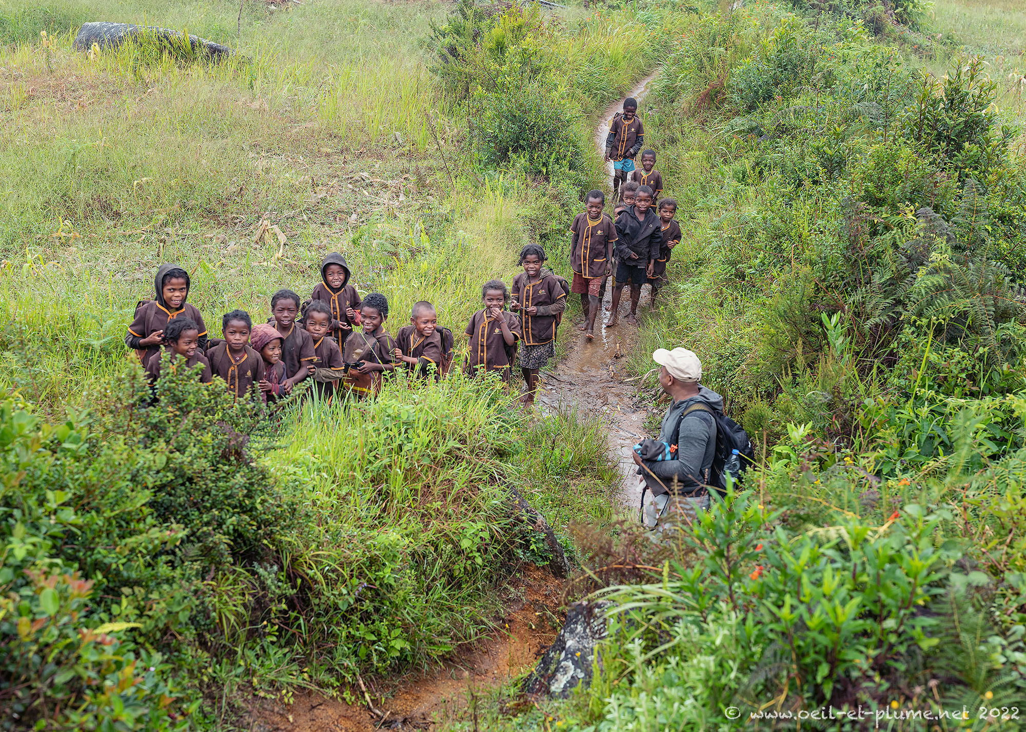 Madagascar - Zafimaniry (1) - Coups d'oeil et Coups de plume