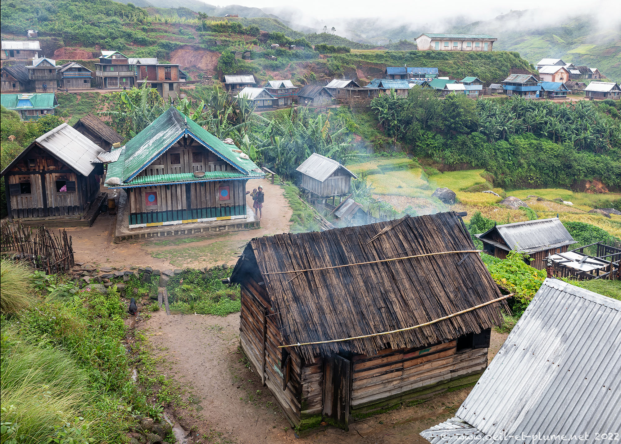 Madagascar - Zafimaniry (1) - Coups d'oeil et Coups de plume