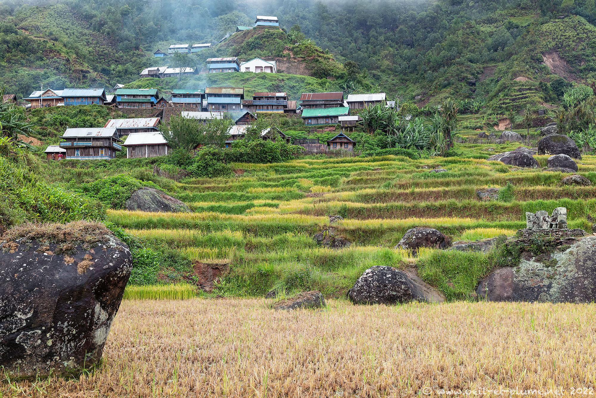 Madagascar - Zafimaniry (3) - Coups d'oeil et Coups de plume