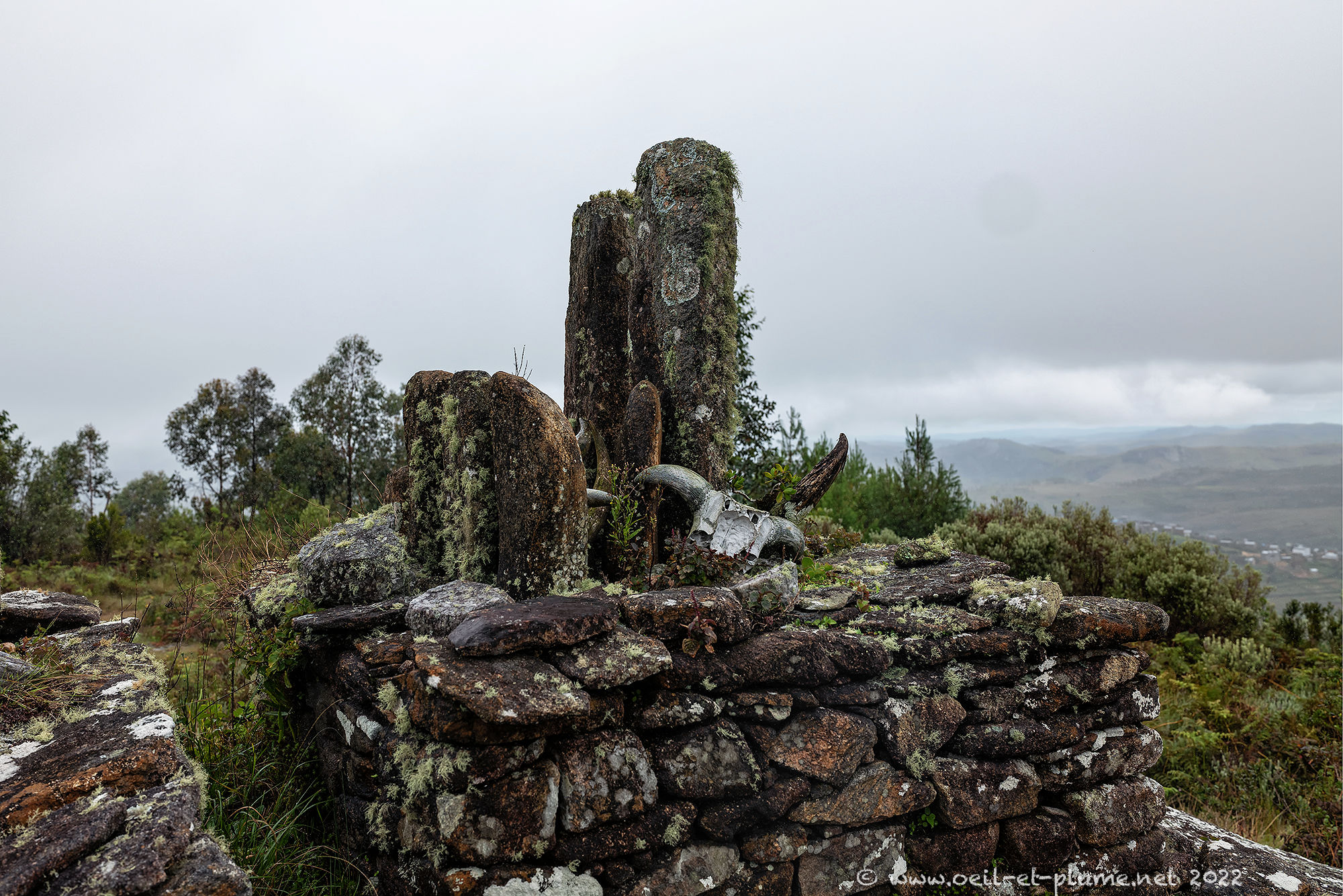 Madagascar - Zafimaniry (3) - Coups d'oeil et Coups de plume
