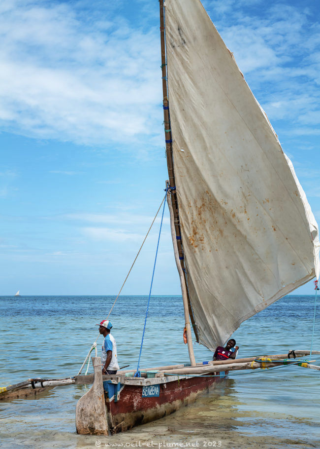 Zanzibar - Water is life - Coups d'oeil et Coups de plume
