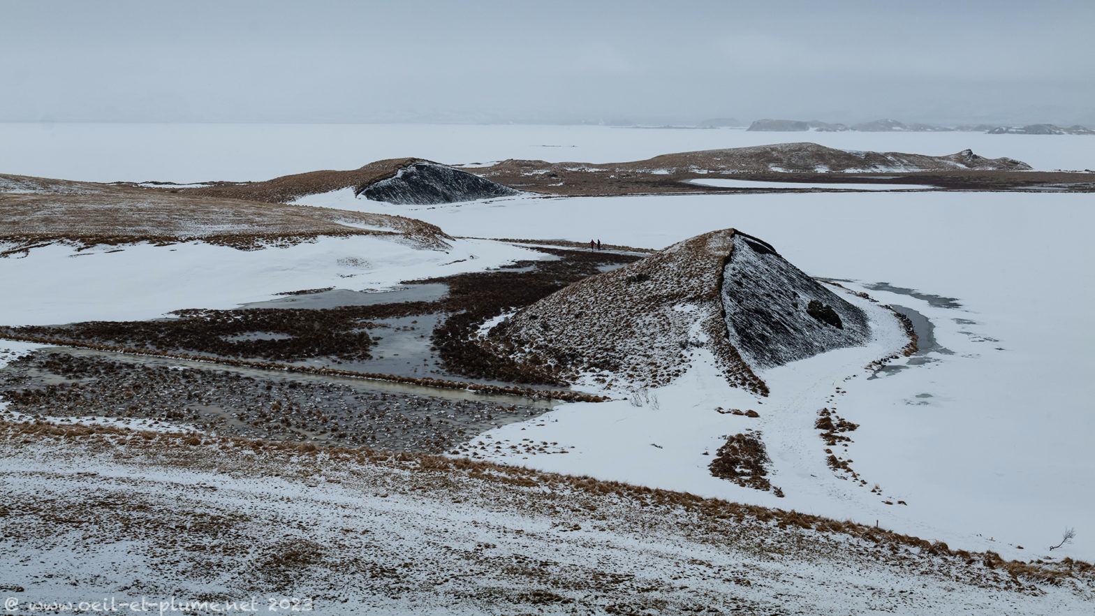 Iceland - Humans and other folks - Coups d'oeil et Coups de plume