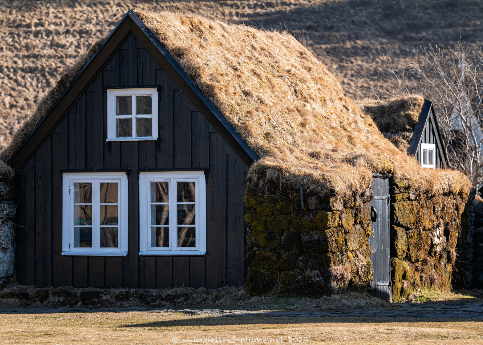 Iceland - Humans and other folks - Coups d'oeil et Coups de plume