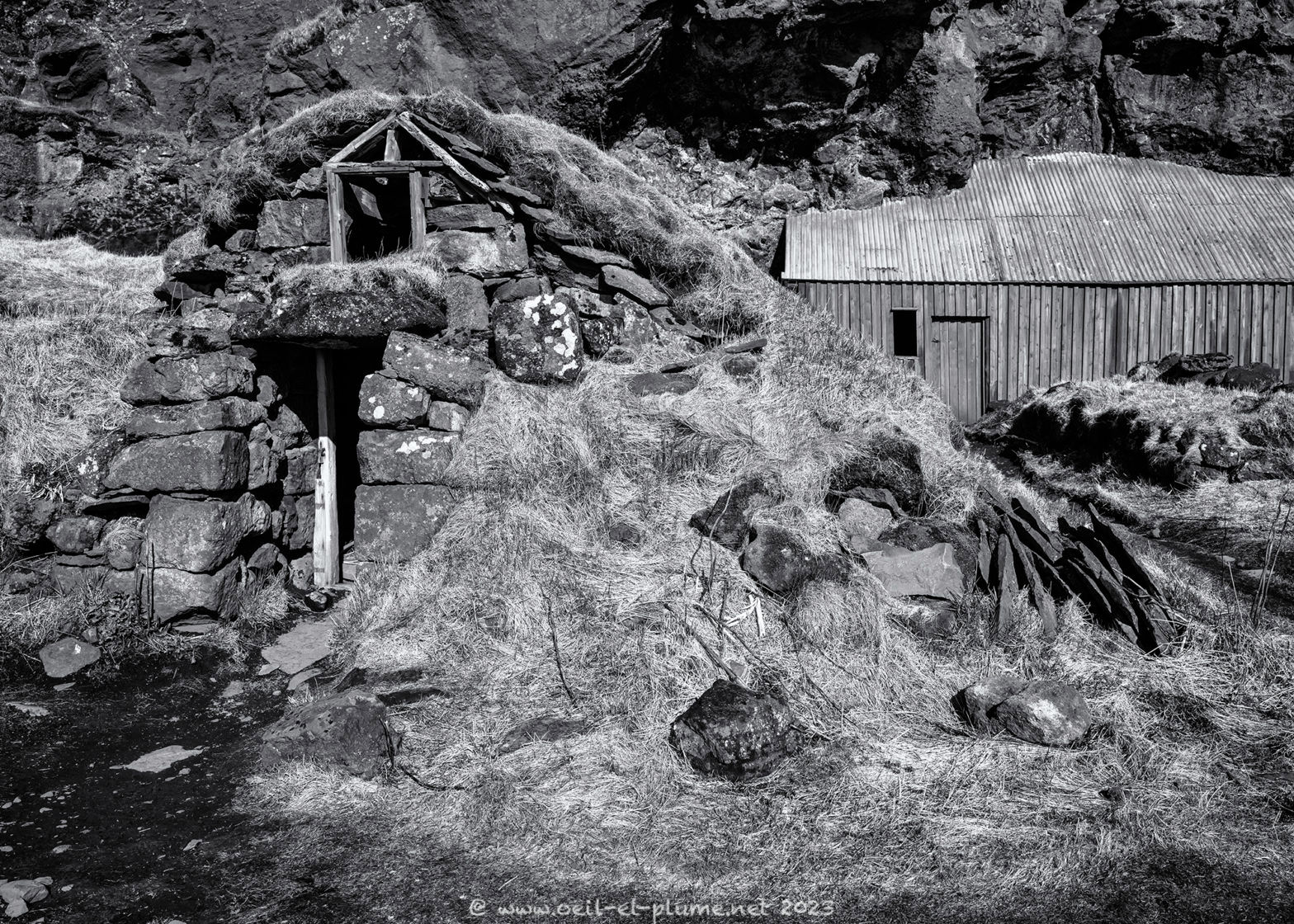Iceland - Humans and other folks - Coups d'oeil et Coups de plume