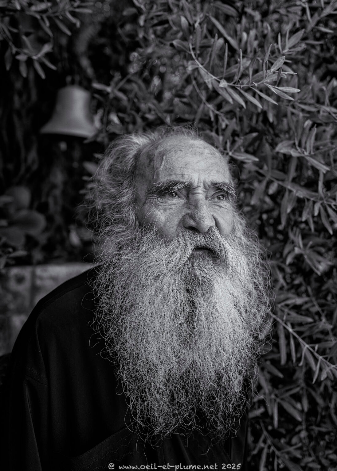 West Bank - Monastic and festive life - Coups d'oeil et Coups de plume