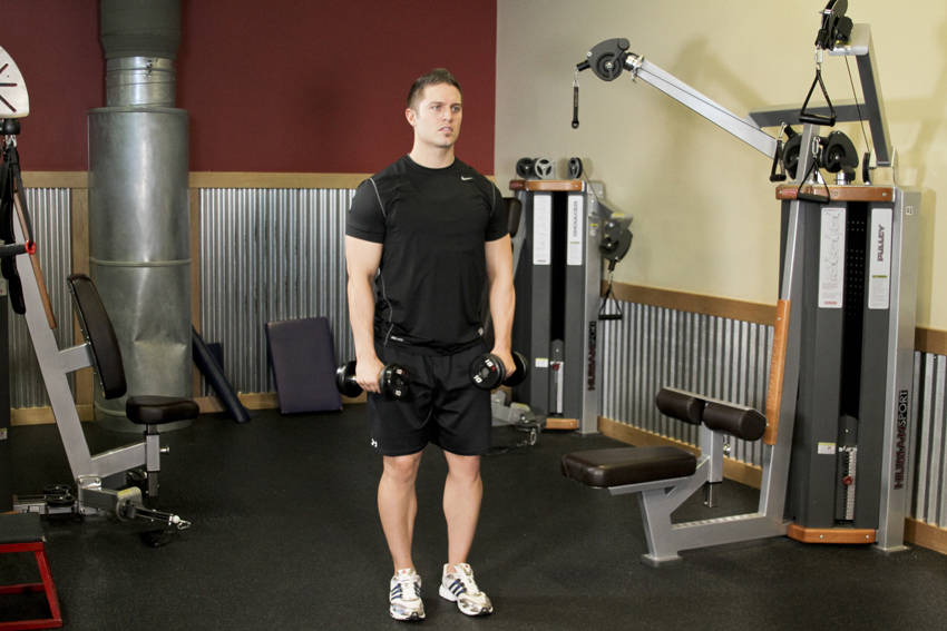 Free Exercise DB