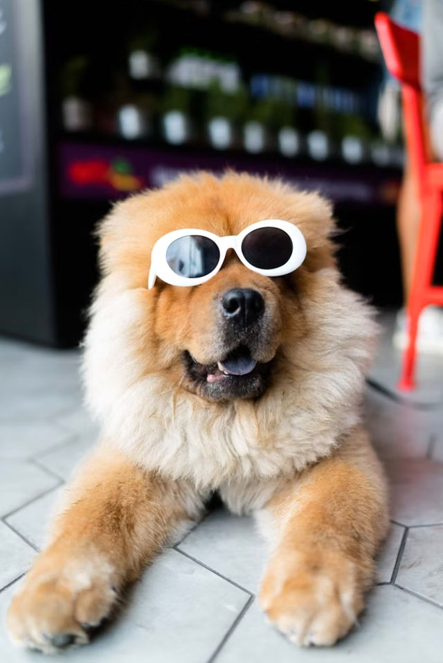 Twitch Profile Picture Resizer · PFP Resizer