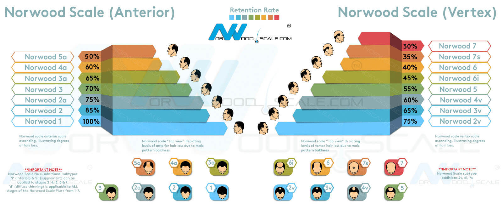 Hair Transplant Procedure: When & How