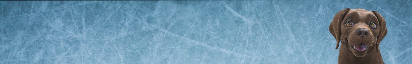 Découvrez la sélection de Chichi pour le bien-être de votre chien ...