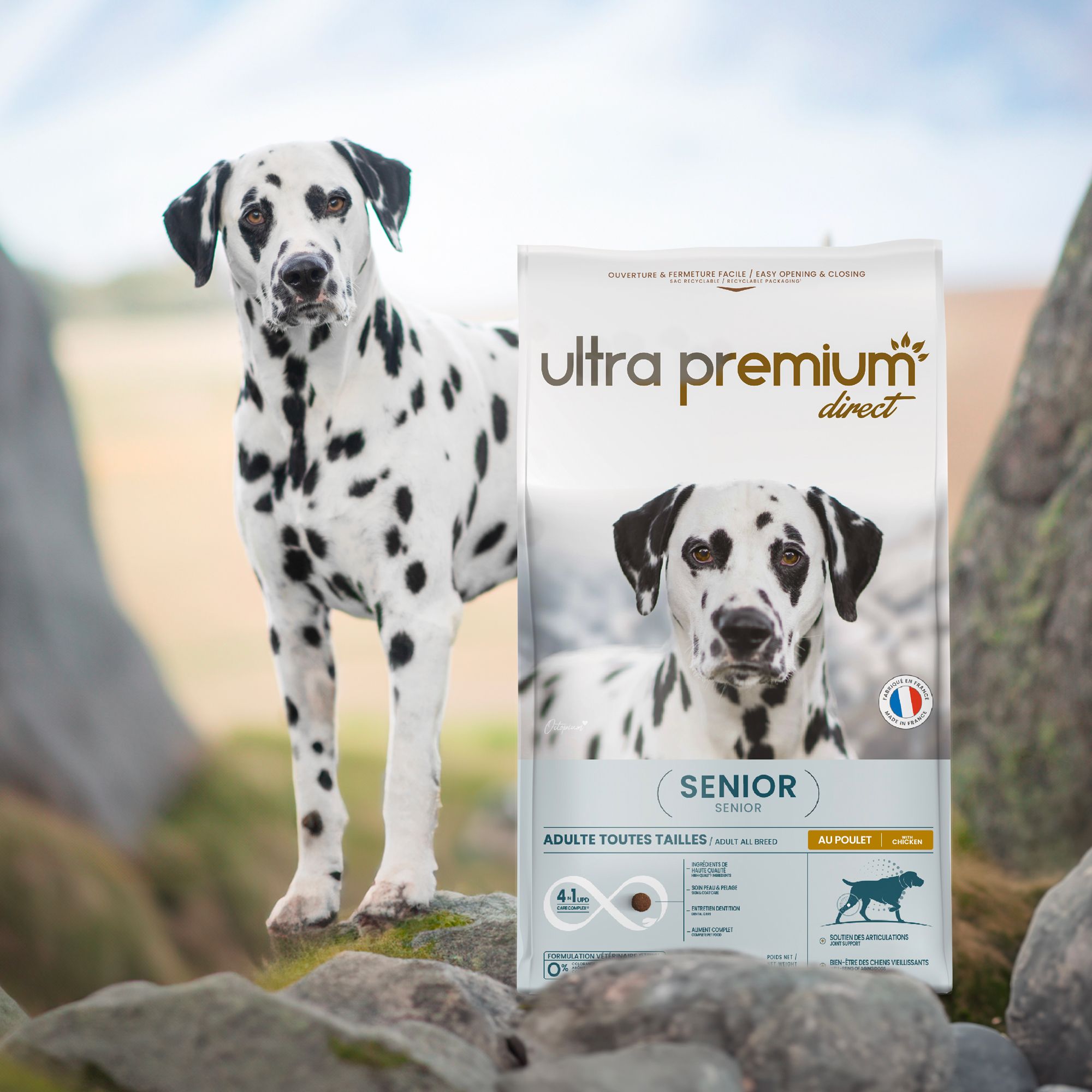 Croquettes chien adulte spécifique : meilleures croquettes pour chien ...