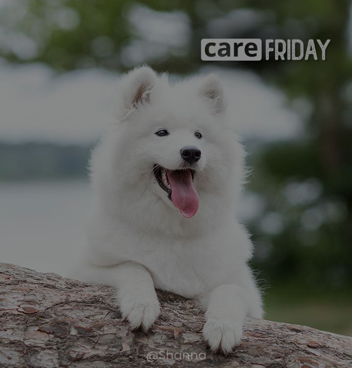 Care Friday - Ultra Premium Direct