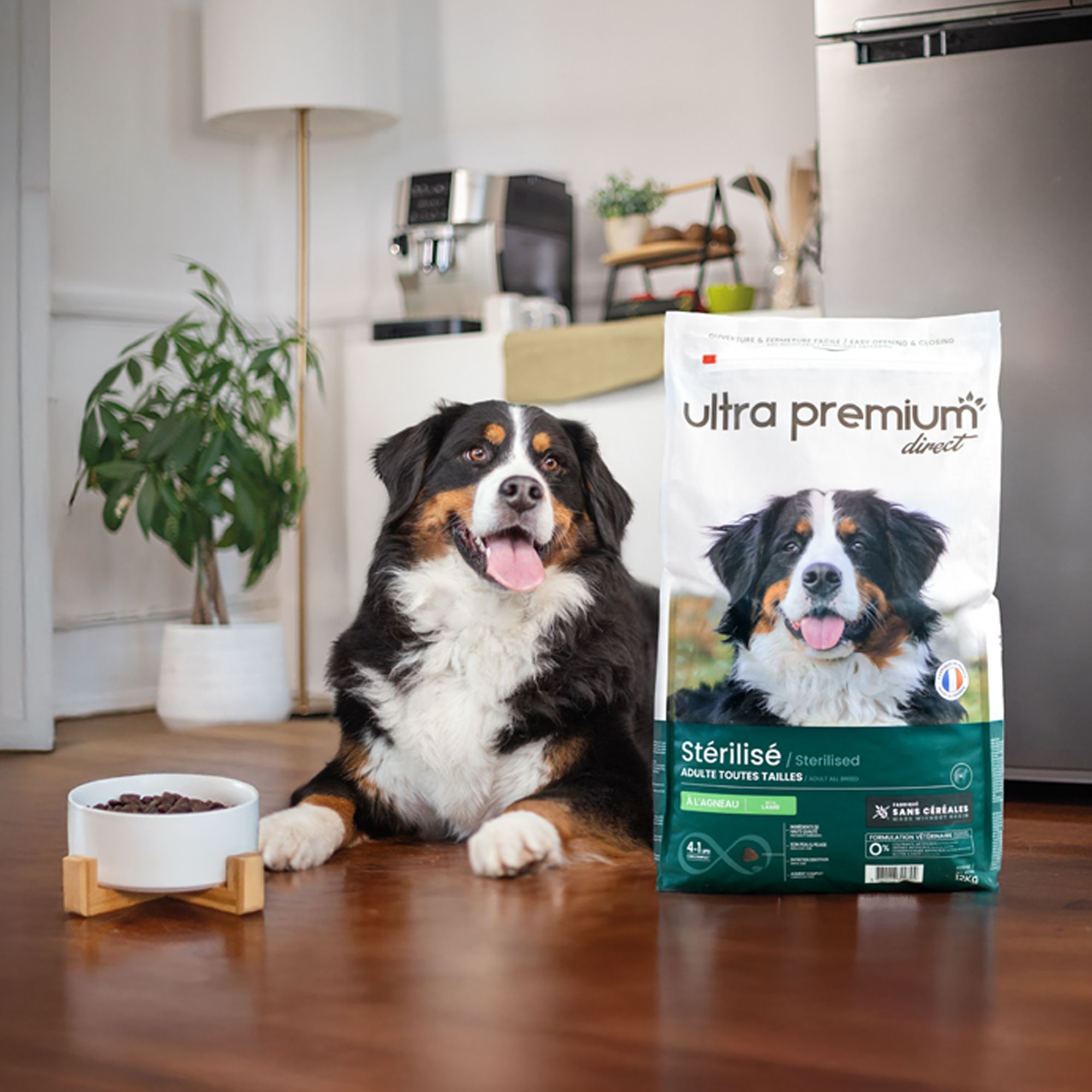 Produits pour chien - Ultra Premium Direct