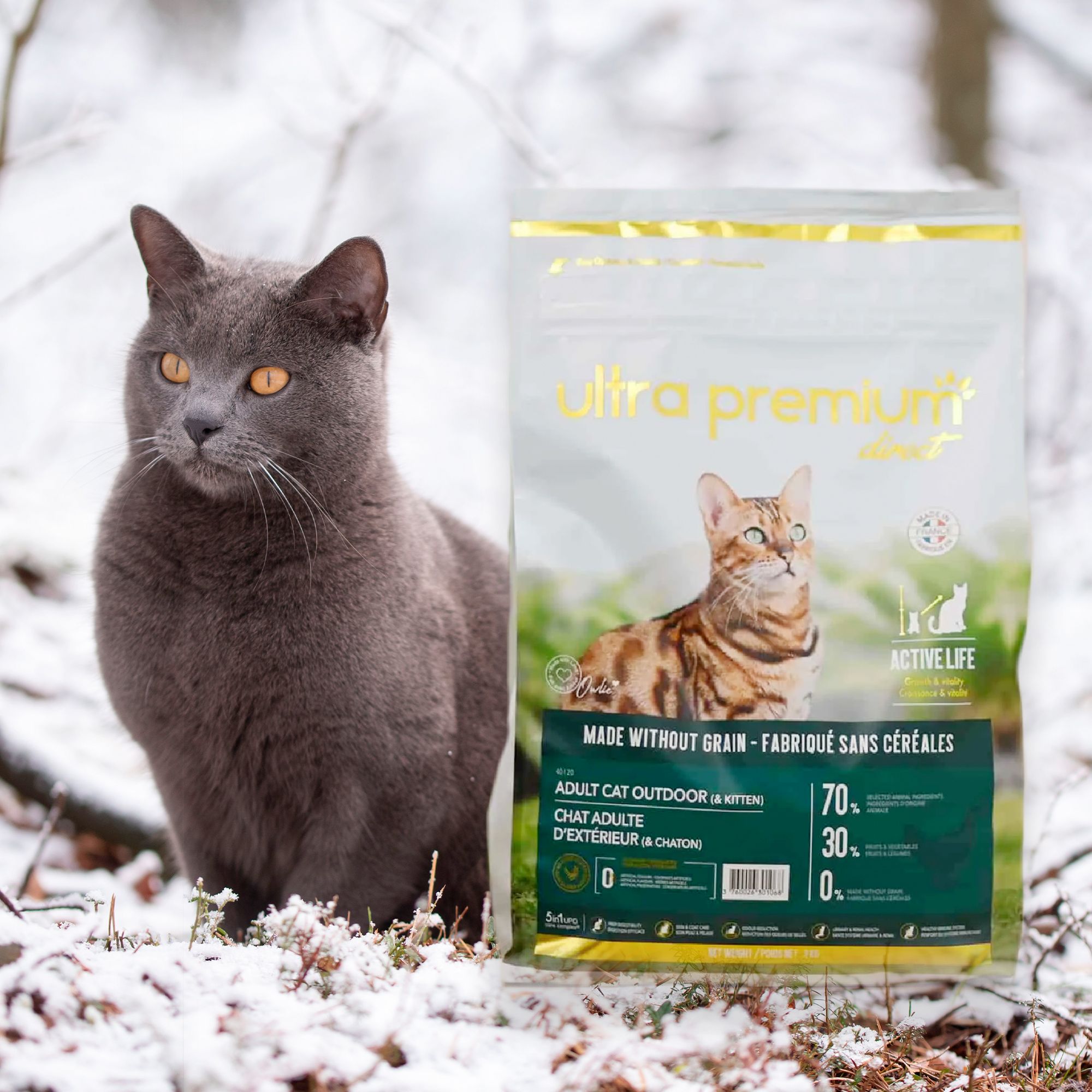 Croquettes pour Chartreux - Ultra Premium Direct