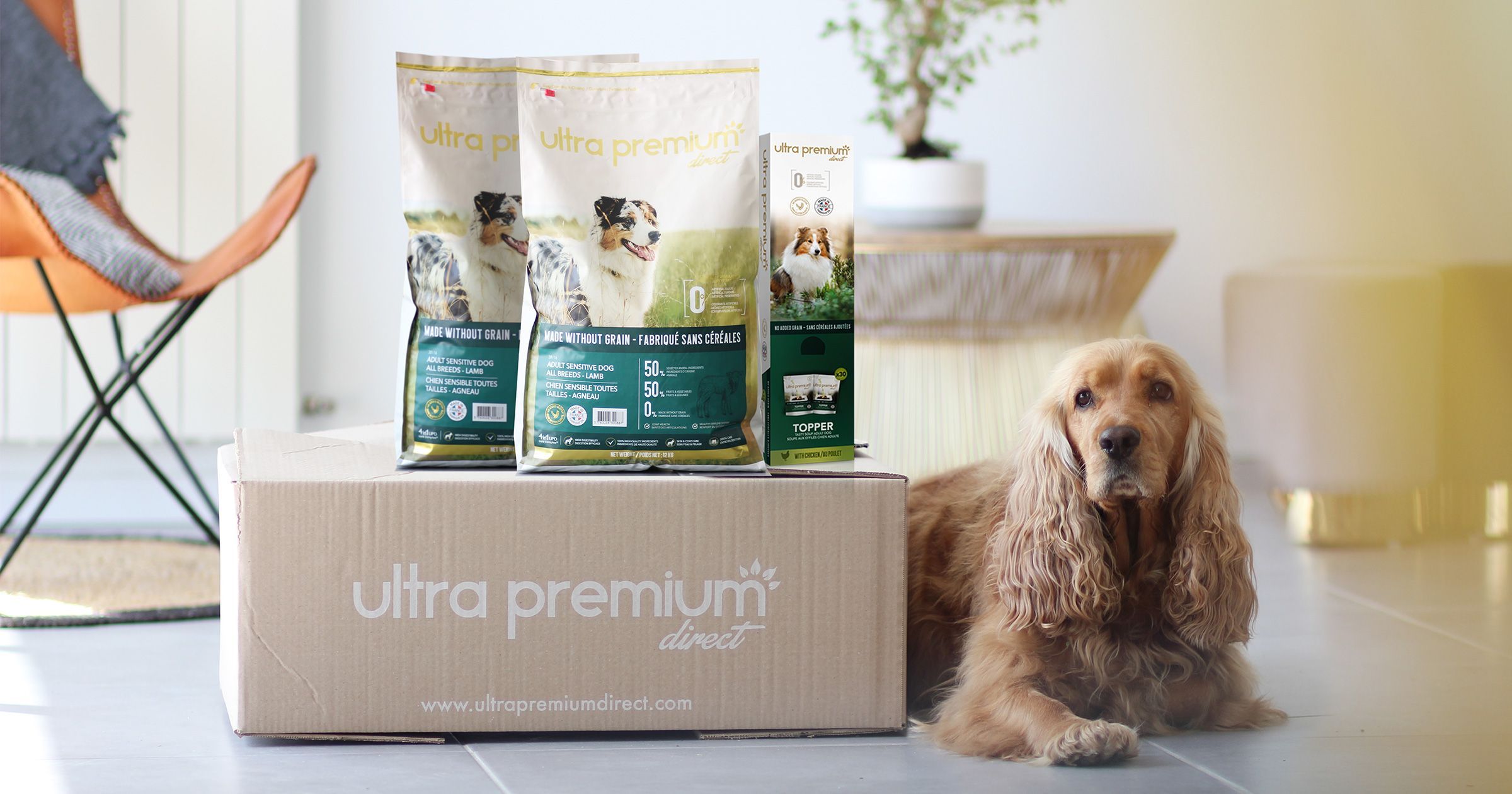 L'abonnement Ultra Premium Direct - Blog Ultra Premium Direct