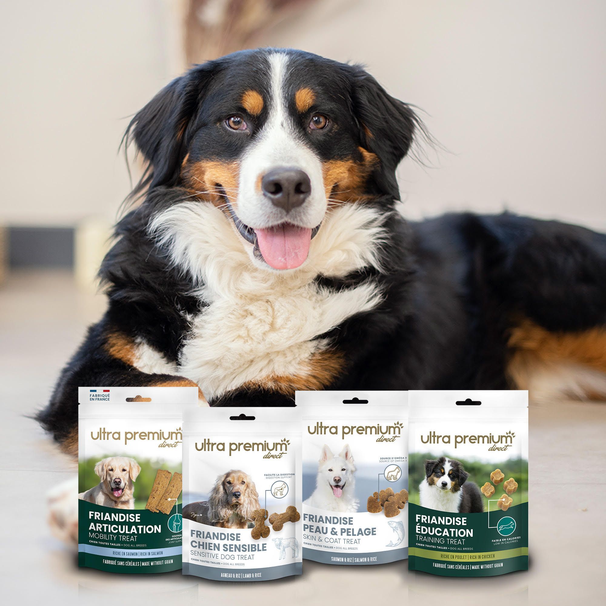 Friandises pour chien - Ultra Premium Direct