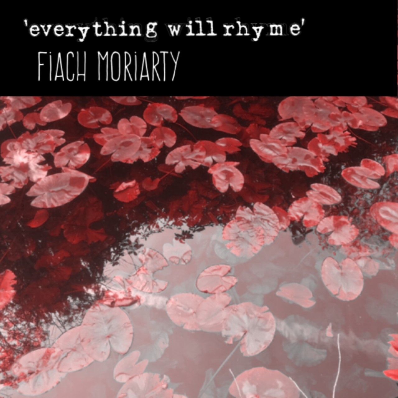 Fiach Moriarty – Breaking Tunes