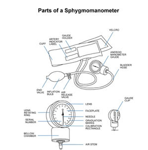 Sphygmomanometer Diagram Manual Sphygmomanometer: Over 48 Royalty Free