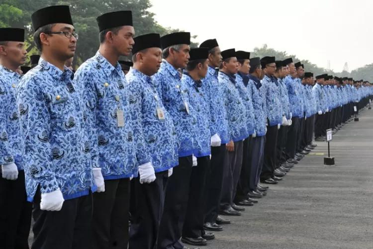 18 Prospek Kerja Ilmu Perpustakaan dan Gajinya » ZonaPintar 18 Prospek Kerja Ilmu Perpustakaan dan Gajinya » ZonaPintar