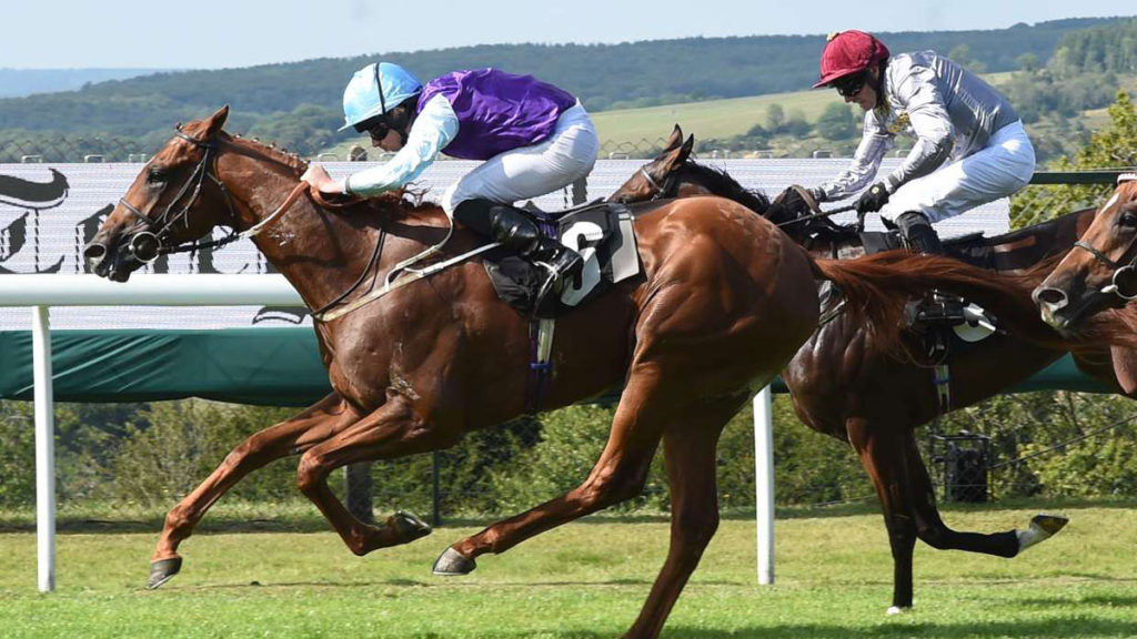 New Market Course | Horse Racing |Event Chauffeurs |WeDriveGlobal